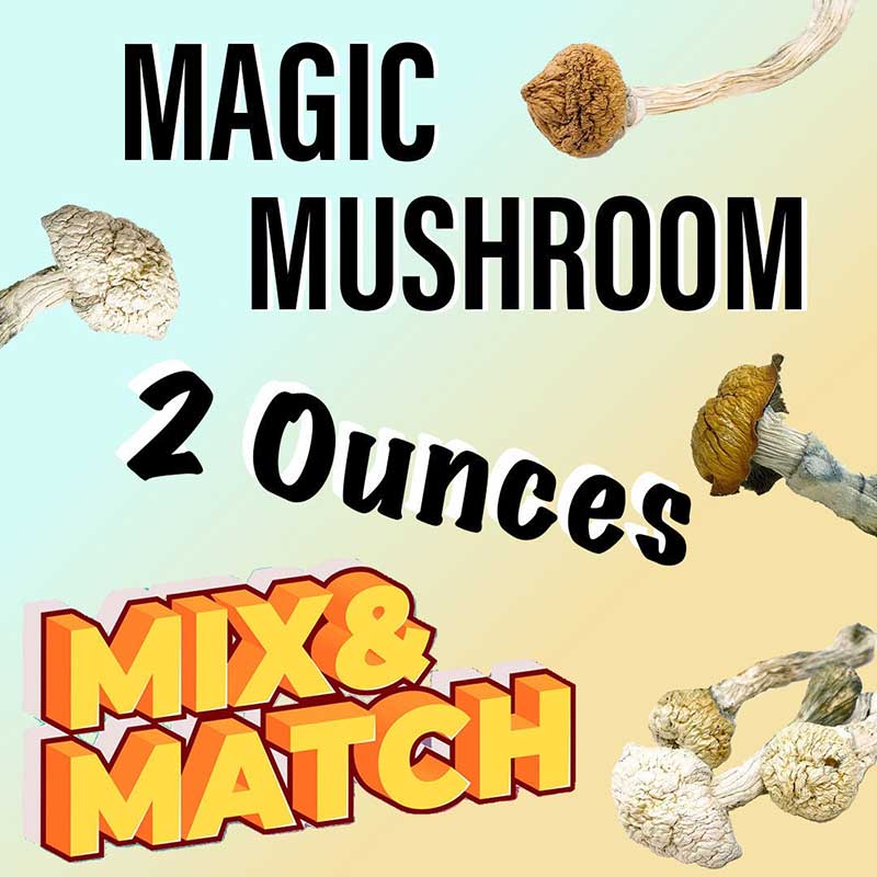 Magic Mushroom Mix & Match - 2 Ounce - Shrooms Direct
